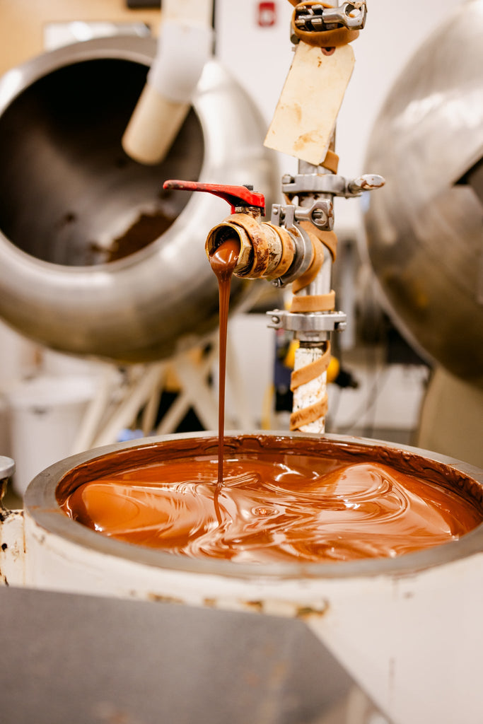 Craft Chocolate TV: Moving Chocolate in the Factory – Dick Taylor Craft ...